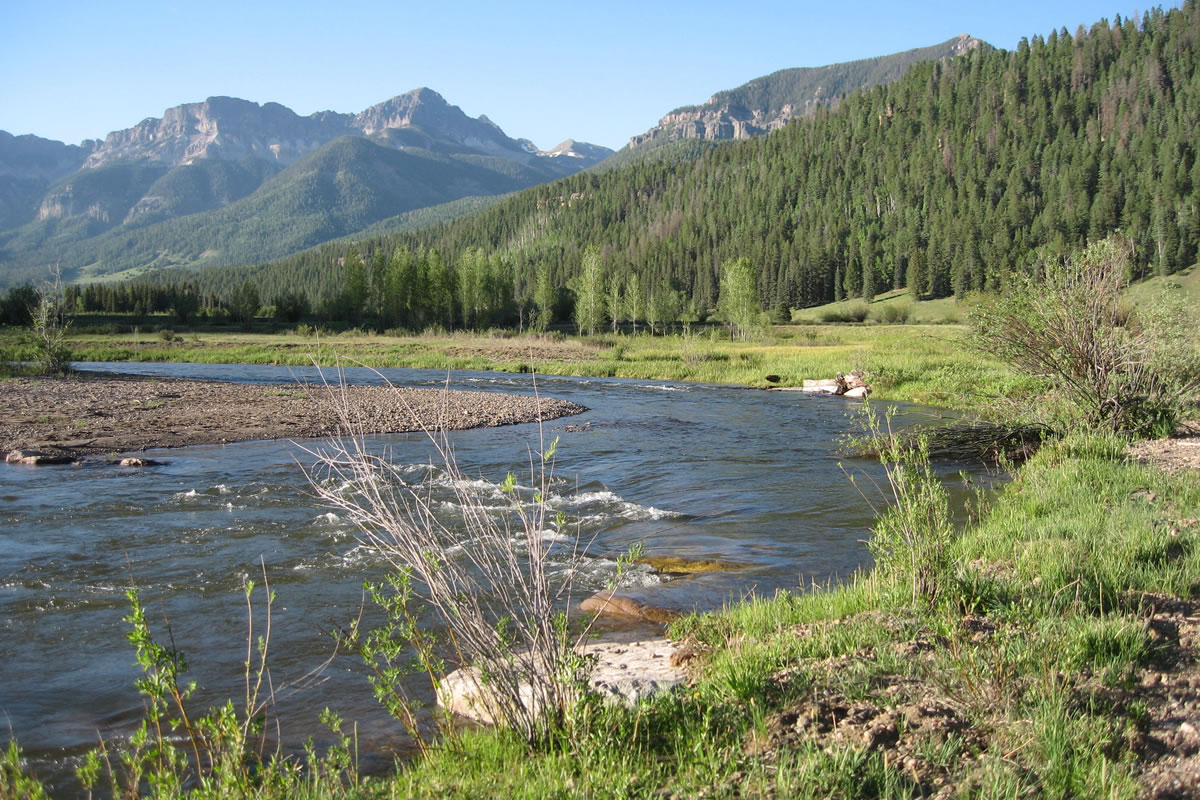 Wildland Hydrology Consultants