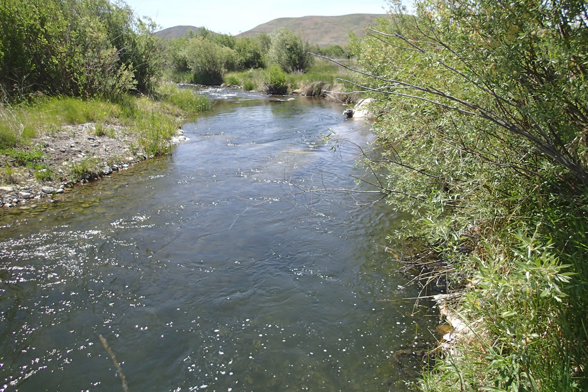 Wildland Hydrology Consultants